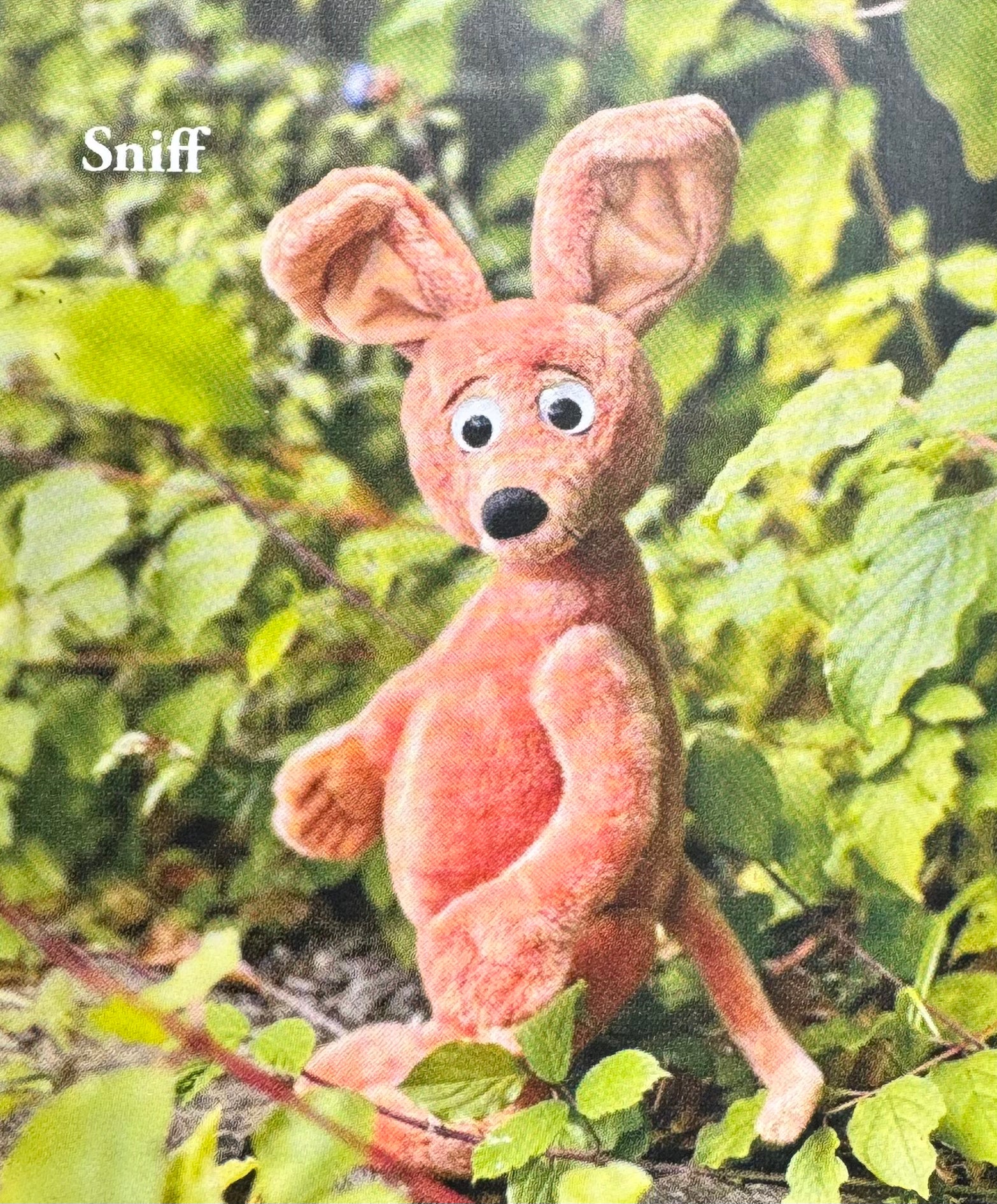 Charlie Bears Signature collection Moomins Sniff PRE ORDER – A little ...